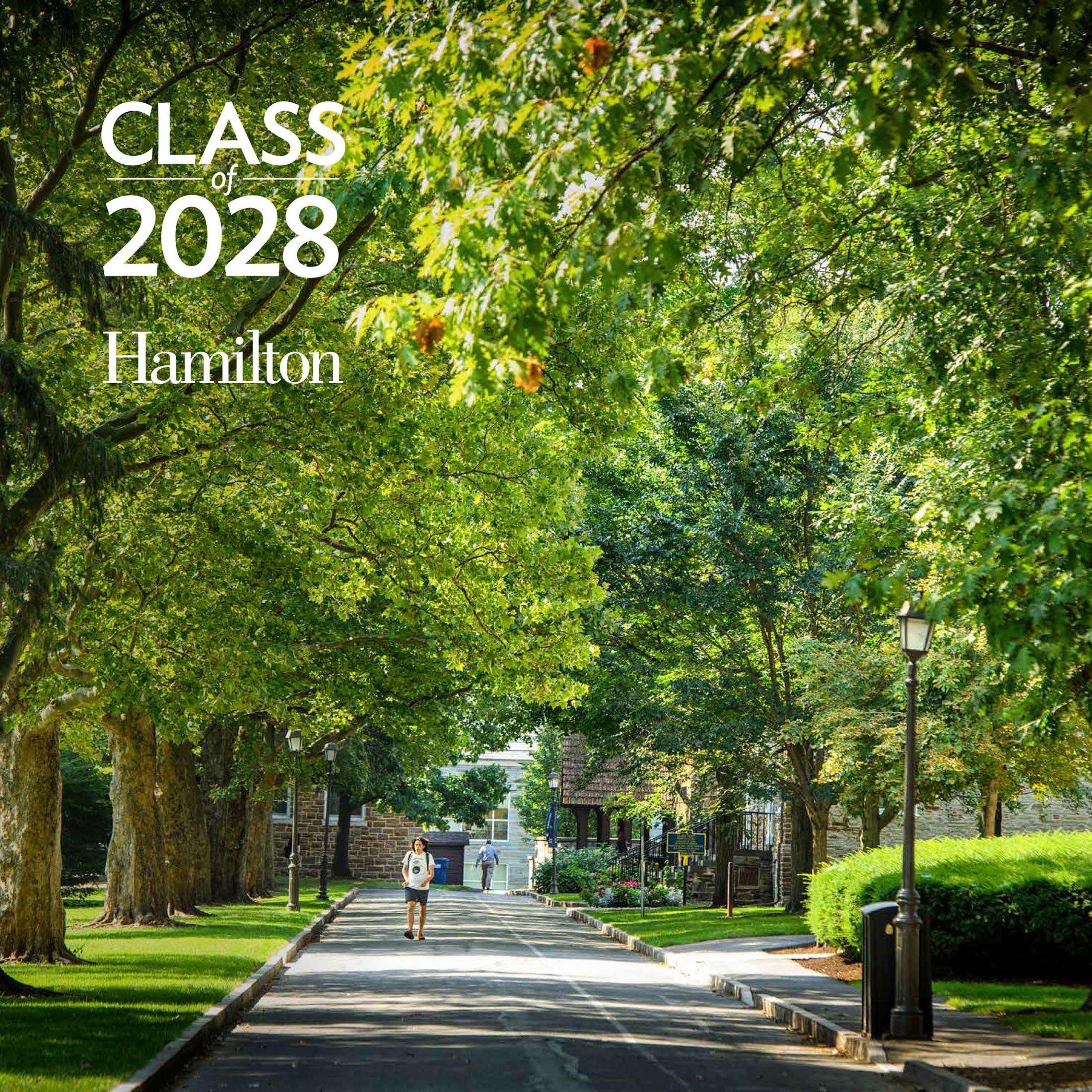 Virtual Backgrounds - Digital Swag - Hamilton College