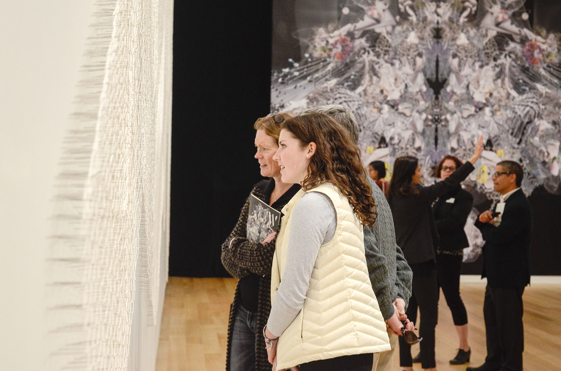 Alyson Shotz October 11, 2014 — April 5, 2015 - Wellin Museum