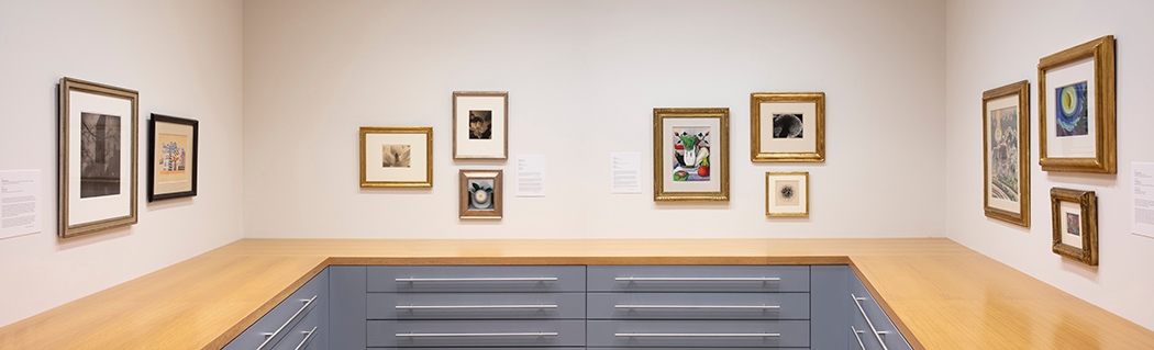 Wellin Museum at Hamilton College combines advances in ...